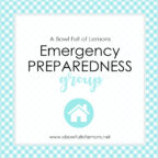 Emergency Preparedness Group | A Bowl Full of Lemons
